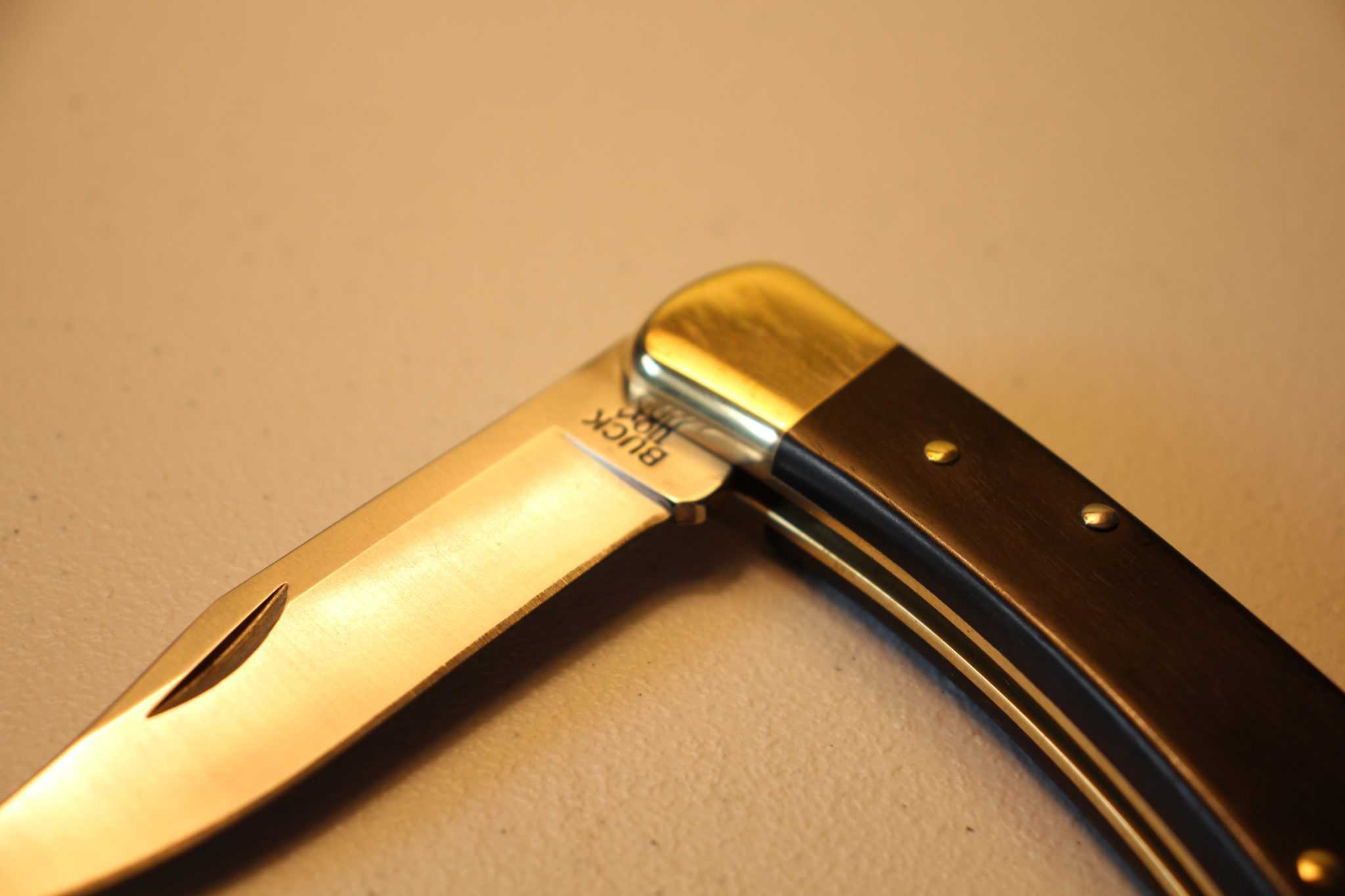 The Legendary Buck 110 Knife Review: Is It Worth It? | Prepping Insider